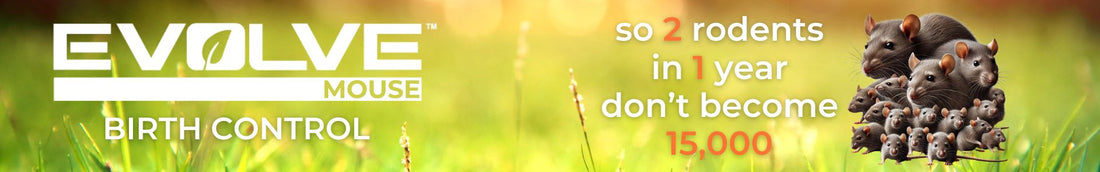 Evolve™ Mouse Birth Control | Buy Evolve Mouse Soft Bait - SenesTech