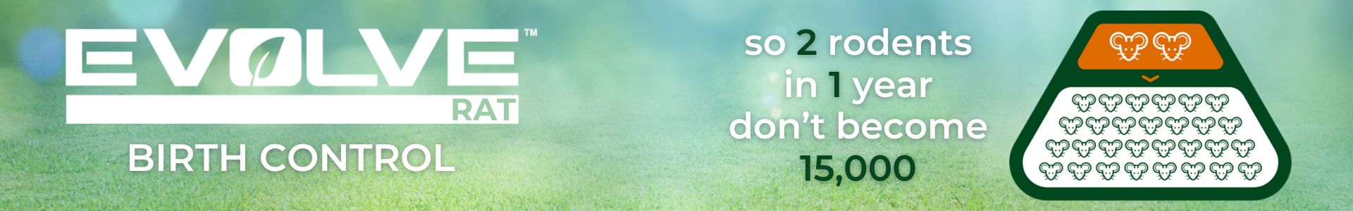 Evolve™ Rat Birth Control | Buy Evolve Rat Soft Bait - SenesTech