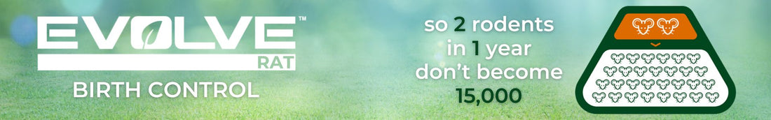 Evolve™ Rat Birth Control | Buy Evolve Rat Soft Bait - SenesTech