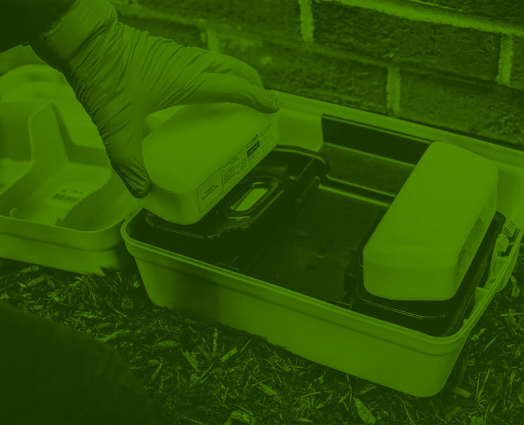 ContraPest For Rats | Buy Rat Fertility Control Ultimate Bait System - SenesTech