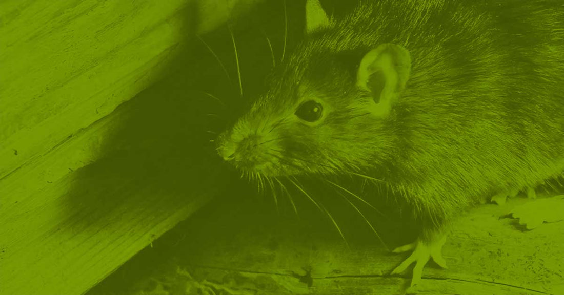 SenesTech - Fertility Control for Managing Animal Pest Populations